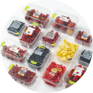 Overview - Parkside Flexibles